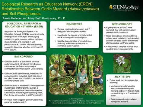 Invasive Species Research At Siena Invasive Species Education Fair
