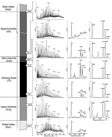 Mass Chromatograms Mz 71 For N Alkanes And Acyclic Isoprenoids