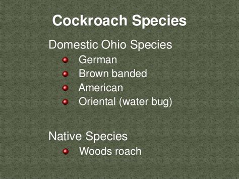 Cockroach Distribution And Classification