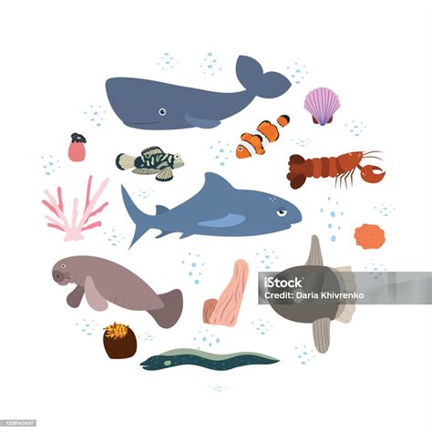 Sea Animals Template