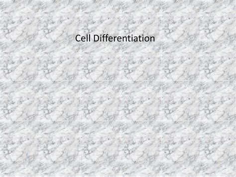 PPT Cell Differentiation PowerPoint Presentation Free Download ID