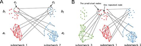 colour online a the schematic representation of two randomly