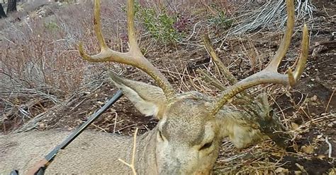 Venison From Field To Pepperoni In One Weekend Album On Imgur