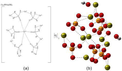 The Crystal Structure Of The Nano Hap Download Scientific Diagram