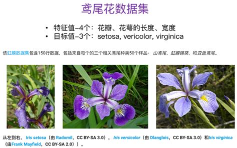 【机器学习算法】knn鸢尾花种类预测案例和特征预处理。全md文档笔记(已分享,附代码) 知乎 【机器学习算法】knn鸢尾花种类预测案例和特征预处理。全md文档笔记(已分享,附代码) 知乎