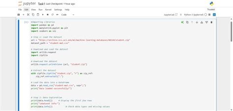 Mainflow Internship Dataanalysis Python Sarvesh Galbale