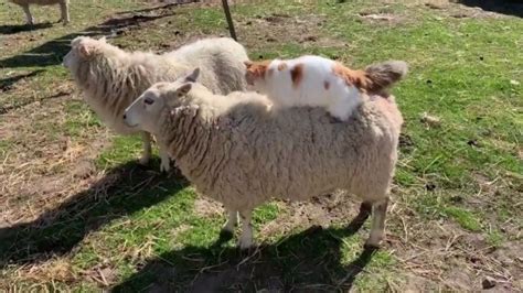 Why Do I Get The Feeling That It Was Carolyn Behin Tumbex