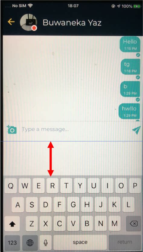 Remove Unwanted Bottom Padding In Inputtoolbar When Keyboard Open · Issue 1809 · Faridsafi