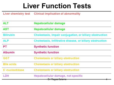 Liver Function Test Normal Range Liver Function Tests Are Blood Tests