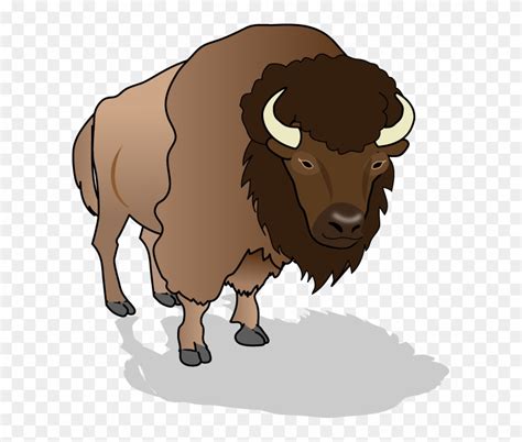 Clip Art Bison Png Download 4104720 Pinclipart