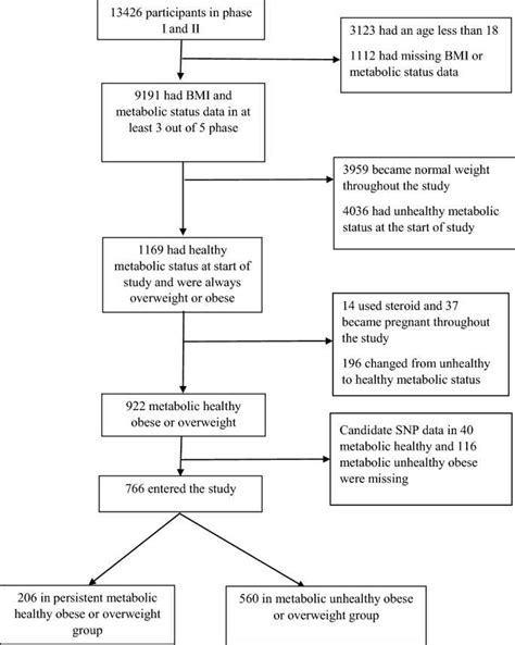 the key to understanding genetic continuity unveiling the answers to