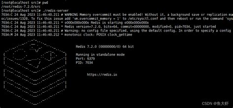 Centos安装redis教程centos 安装 Redis Csdn博客 Centos安装redis教程centos 安装 Redis Csdn博客
