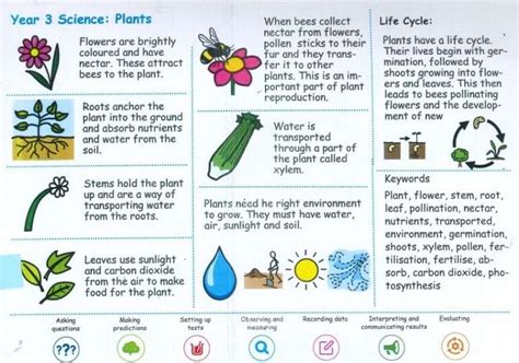 How Widgit Online Supports Inclusive Practice Across A Mat School Management Plus