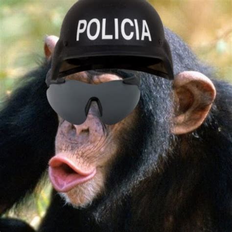 Al5grjvqqcv64ntf9xaeadokynayf1nhsj3egociyifis900 C K C0x00ffffff No Rj