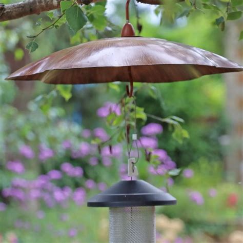 Squirrel Baffle Polytunnels And Greenhouses Irelands Polytunnel Company