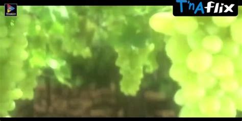 Vijayashanti Sexy Scene In Muddula Menalludu