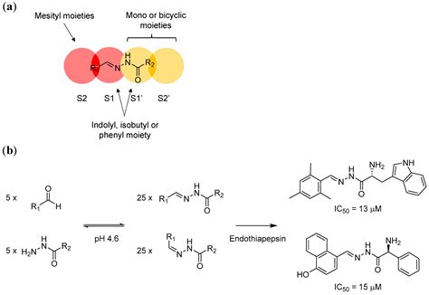 Molecules Free Full Text Protein Directed Dynamic Combinatorial Chemistry A Guide To