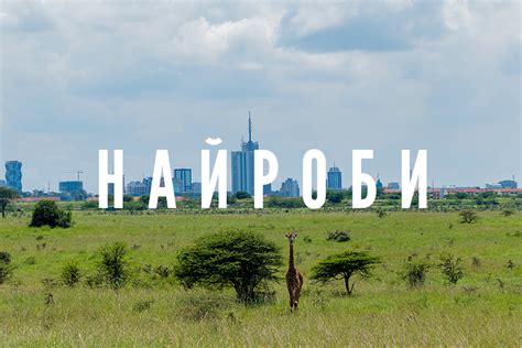 Гайды по городам