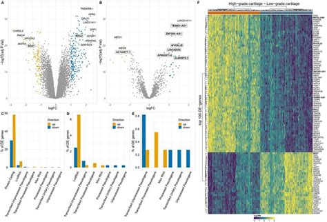 A Molecular Map Of Long Non Coding Rna Expression Isoform Switching