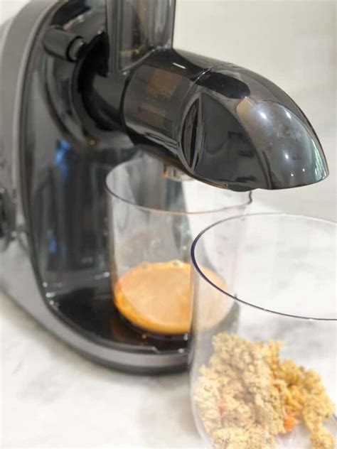 How To Make Ginger Juice Blender Or Juicer The Dizzy Cook