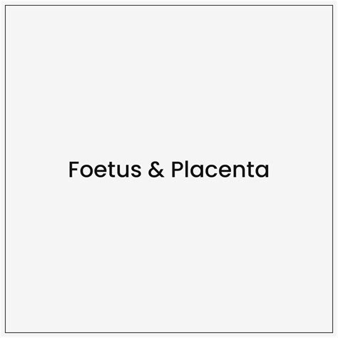 Foetus And Placenta Gooddays Healthcare