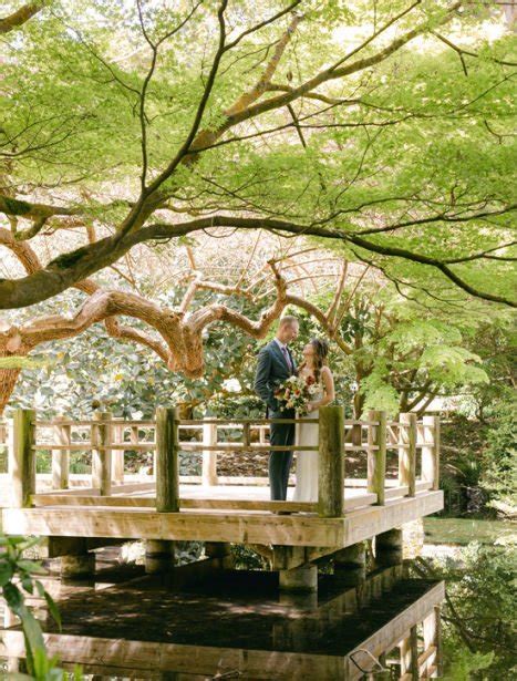 San Francisco Botanical Garden — Betty Zlatchin