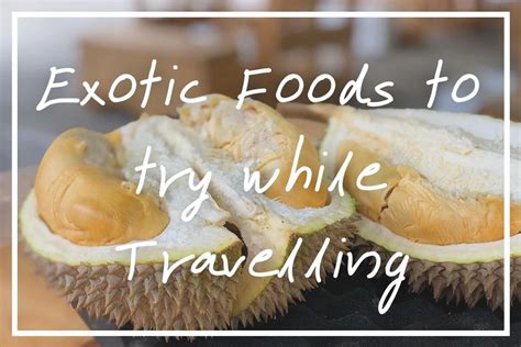 75 Unique Strange And Exotic Foods To Try While Travelling — Whats