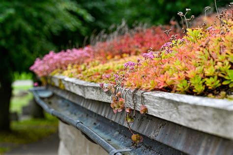 Final Expense Coverage Insurance Coverage Gibson Benefit Plans Kansas City Life Insurance