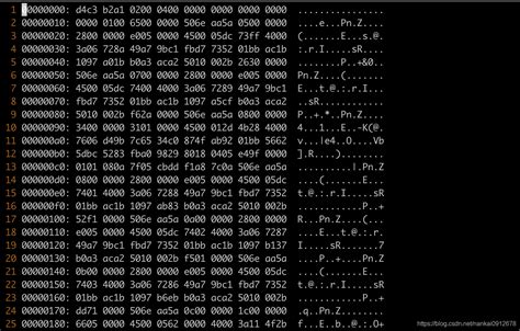 用vim打开十六进制文件16进制打开vim Csdn博客