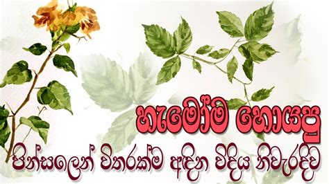 Still Lif Boganwila Mal Kola බෝගන් විලා මල් සහ කොළ නිවැරදිව අඳින
