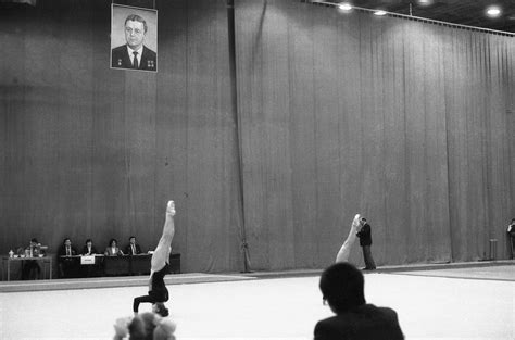 Algirdas Šeškus Lithuanian Culture Institute