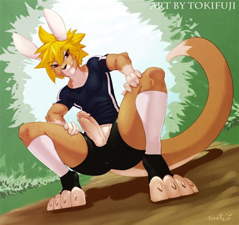 Rule 34 1boy Anthro Blonde Hair Furry Kangaroo Male Male Only