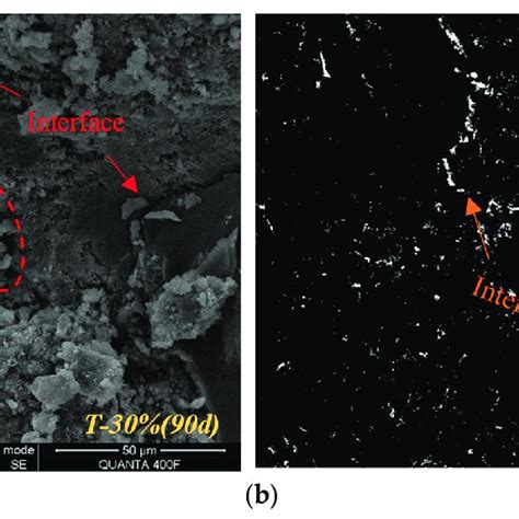 A The Original Sem Image And Binary Image Of T 0 Curing For 90
