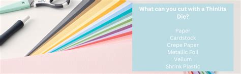 Sizzix Thinlits Die Set 24pk True Love Colorize By Tim Holtz 666290