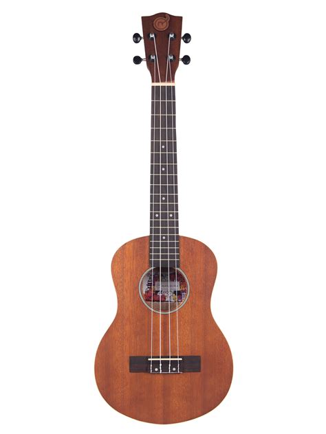 Gr5a T2 Cw2 2024 5th Grade Quiz Wayground