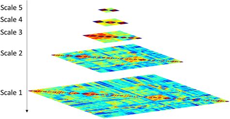 Pyramid Representation Of The Multi Scale Functional Networks With The Pyramid Representation Of The Multi Scale Functional Networks With The
