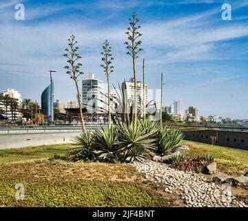The Part Of Lima Overlooking The Pacific Ocean Is The Miraflores One Of