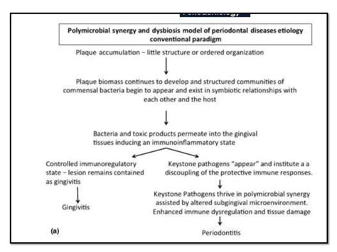 Pathogenesis Of Periodontalpptx