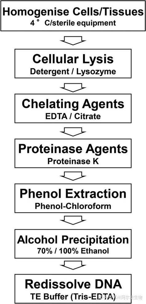 核酸的分离和纯化 知乎