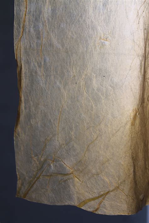 Bacterial Cellulose — Atelier Lvdw