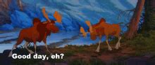 Funny Moose S Tenor