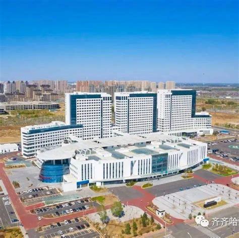 预约诊疗 齐齐哈尔市第一医院3月7日—3月13日医生出诊一览表 卫健 患者 图片