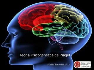 Teoria Psicogen Tica De Piaget Ppt