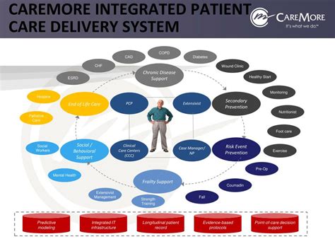 Ppt Felicia Cojocnean Msn Fnp Aanp Bc Chronic Disease Management