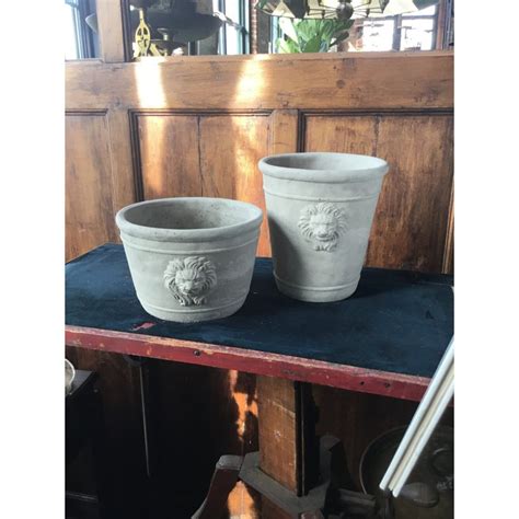 Bungalow Rose Kyzin Cement Pot Planter And Reviews Wayfair