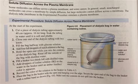 Dialysis Tubing Diffusion