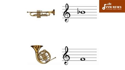 Transposition For French Horn Professional Tips For Players