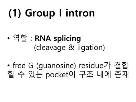 Ppt Ribozyme Powerpoint Presentation Free Download Id2426667