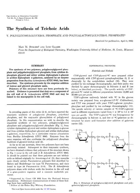 Pdf The Synthesis Of Teichoic Acids