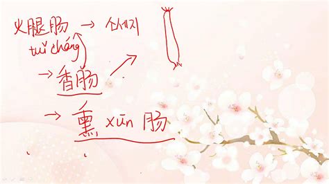 중국 예능 프로 보기 1 생활중국어회화 Youtube